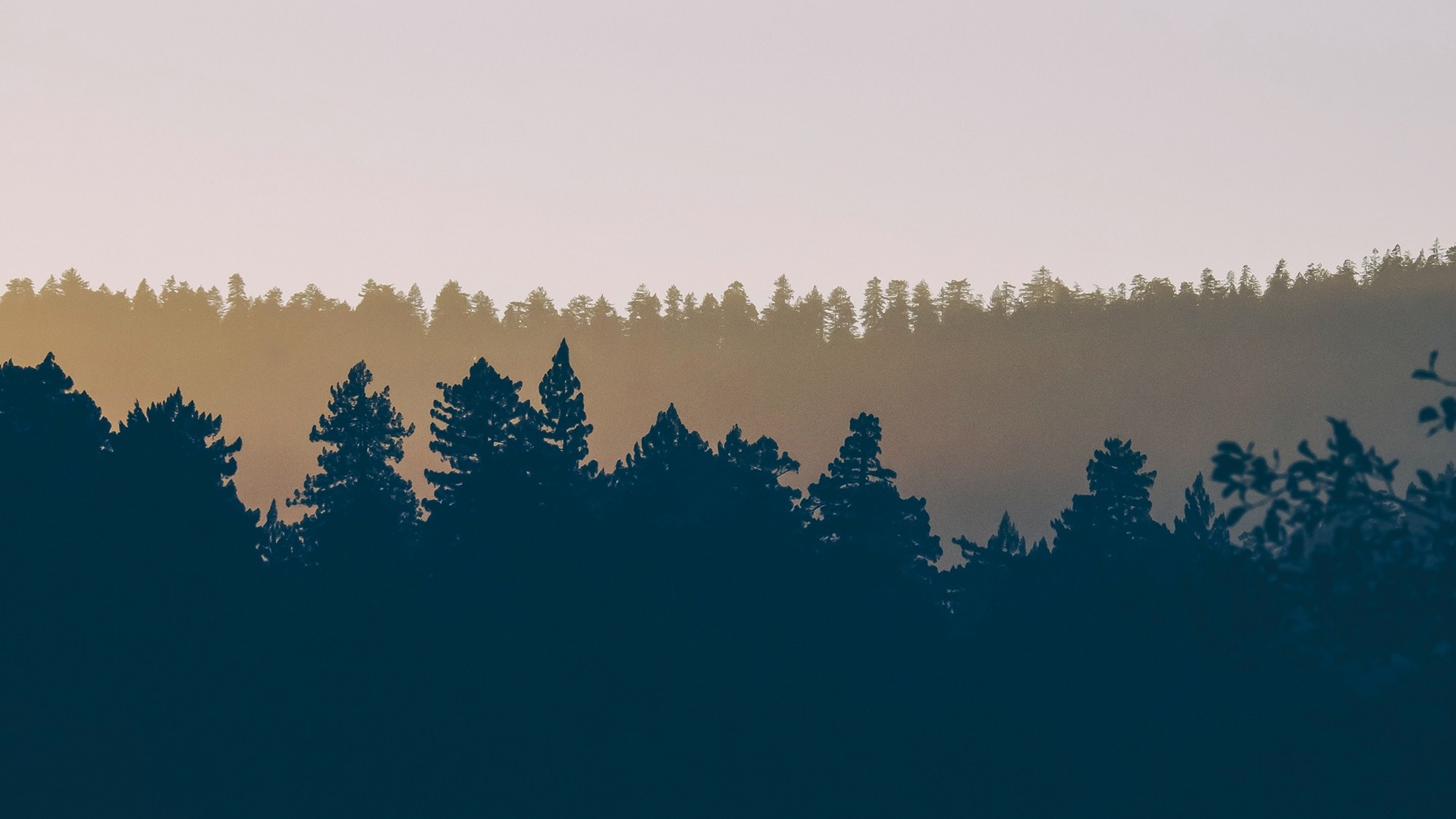 The Church in America in the 21st Century with Guest Aaron Renn - White ...